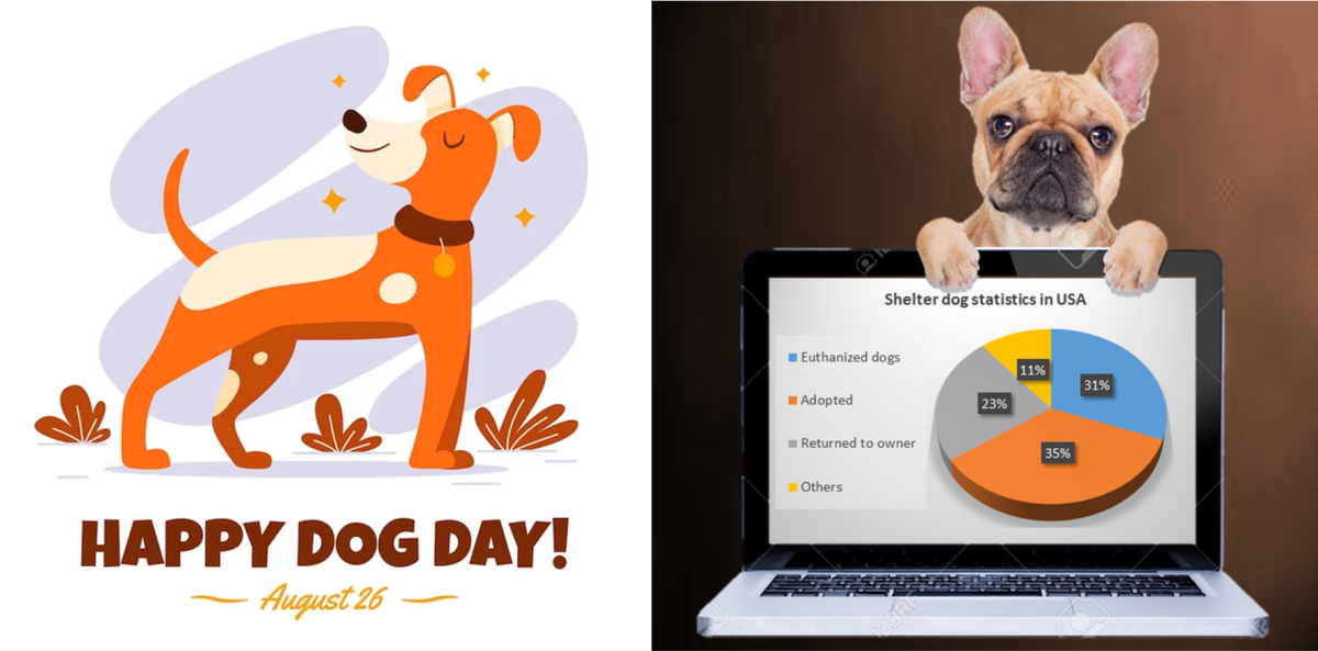 National Dog Day: 50+ Best Dog Day Quotes Instagram Captions And FAQs ...
