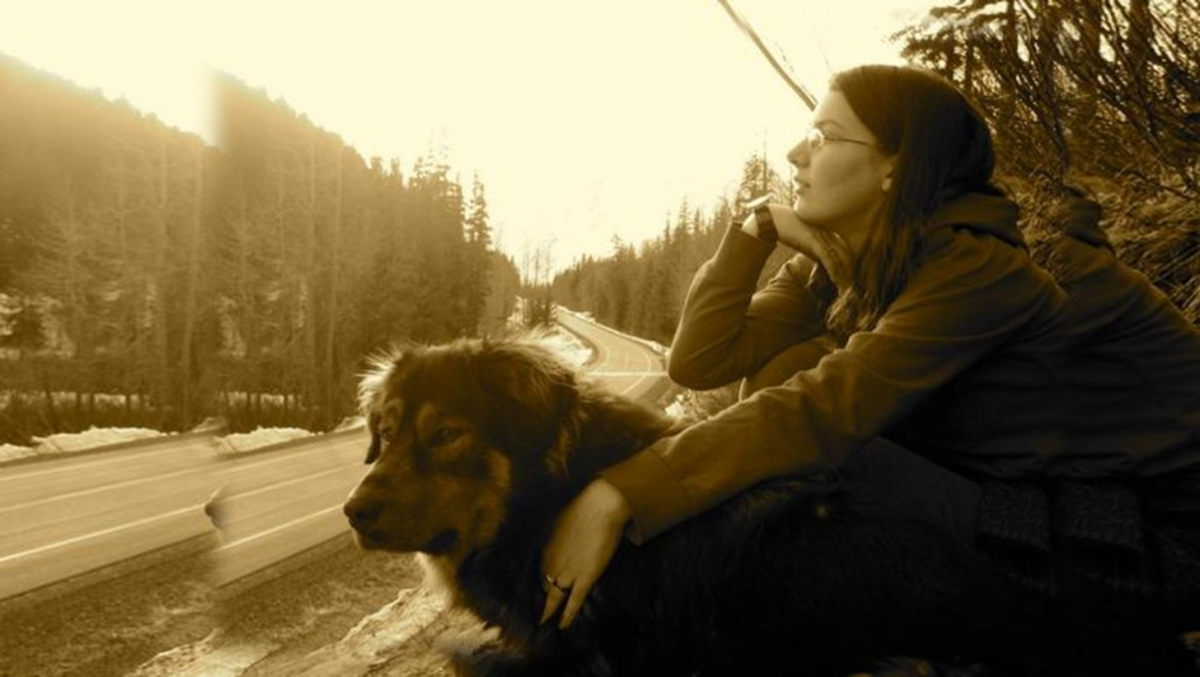15 Heroic Stray Dogs Who Saved People's Lives - HubPages