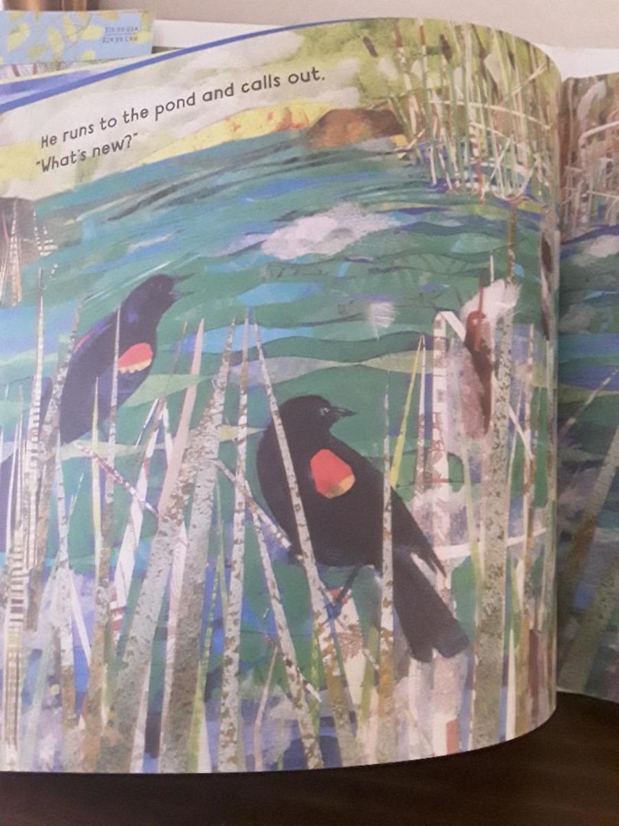 Curiosity, New Things in Our World, and a Child's Wonder in Inspiring ...