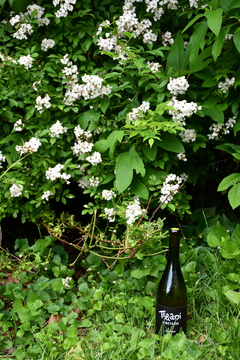 Six Delicious Wines for Spring - HubPages