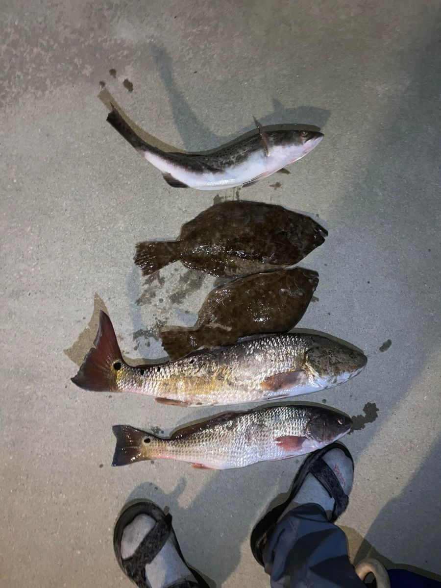 Best Saltwater Fishing Spot in Gulf Shores, Alabama - HubPages