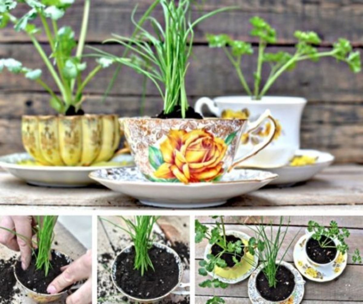 Upcycling Tea Cups - HubPages