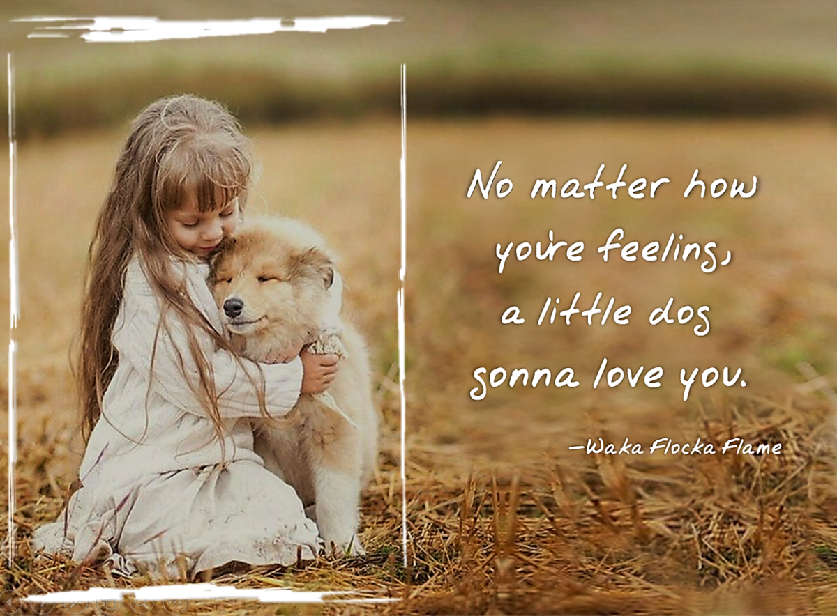 National Puppy Day: Best Puppy Day Wishes and Quotes - HubPages