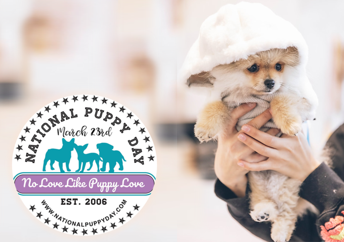 National Puppy Day: Best Puppy Day Wishes and Quotes - HubPages