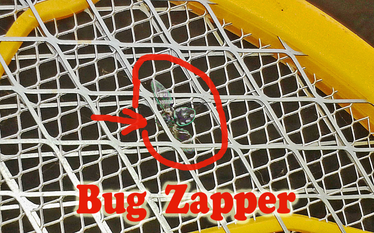 Bug Zapper Electric Fly Swatter Review - HubPages