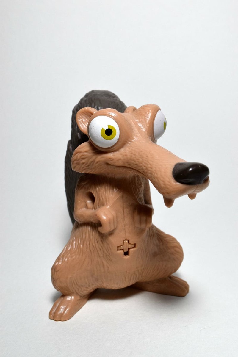 How to Cook Squirrel - HubPages