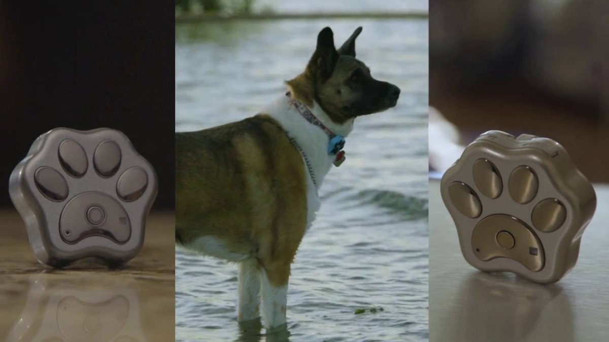 15 Cheap GPS Trackers For Pets - HubPages