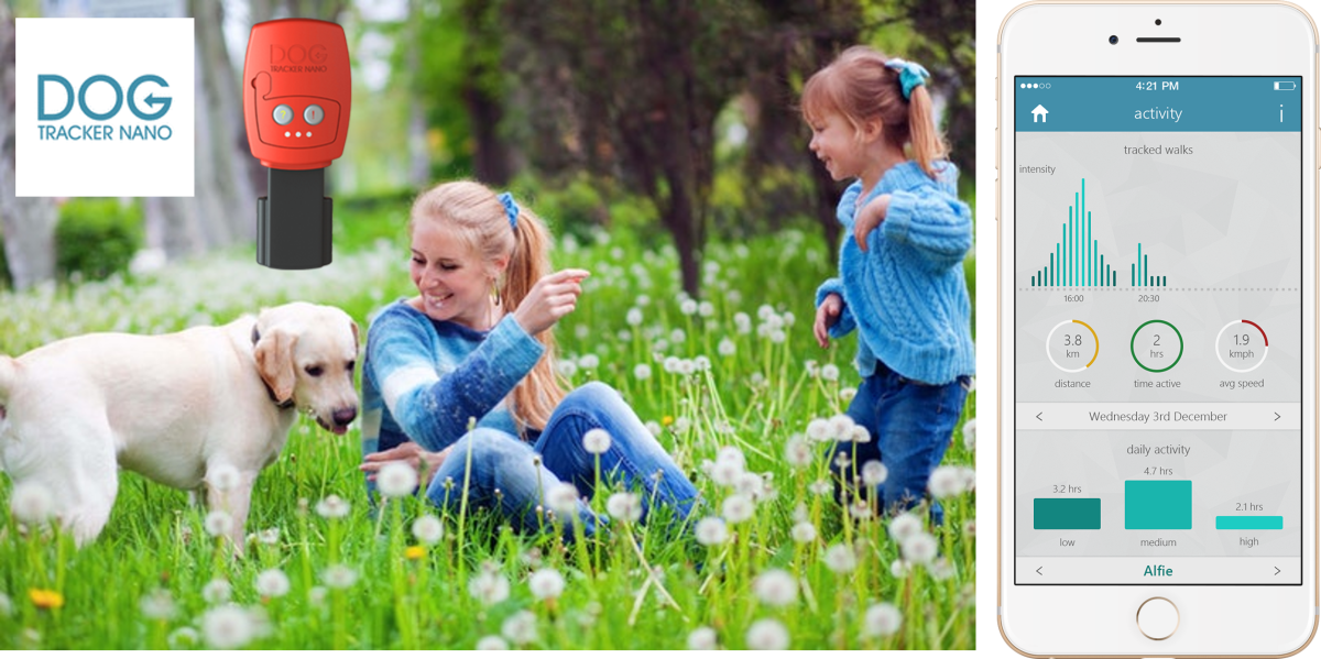 15 Cheap GPS Trackers For Pets - HubPages