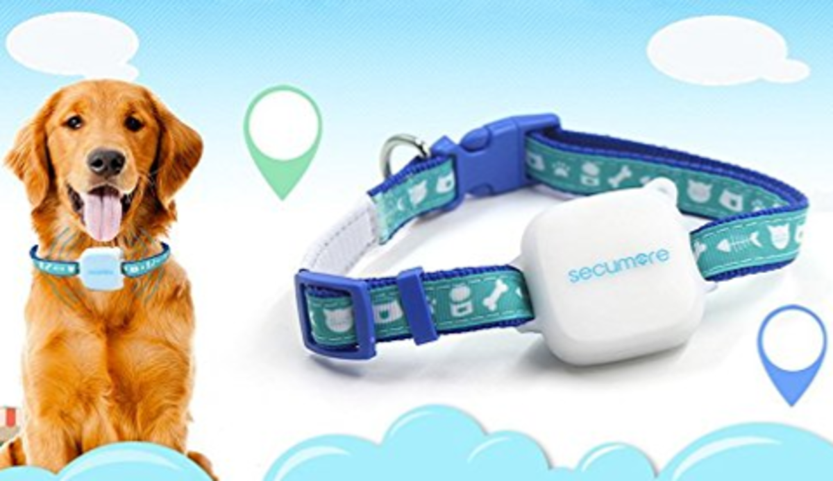 15 Cheap GPS Trackers For Pets - HubPages