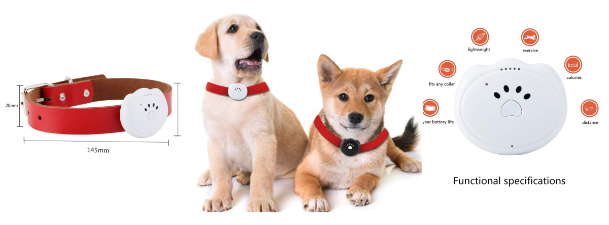 15 Cheap GPS Trackers For Pets - HubPages