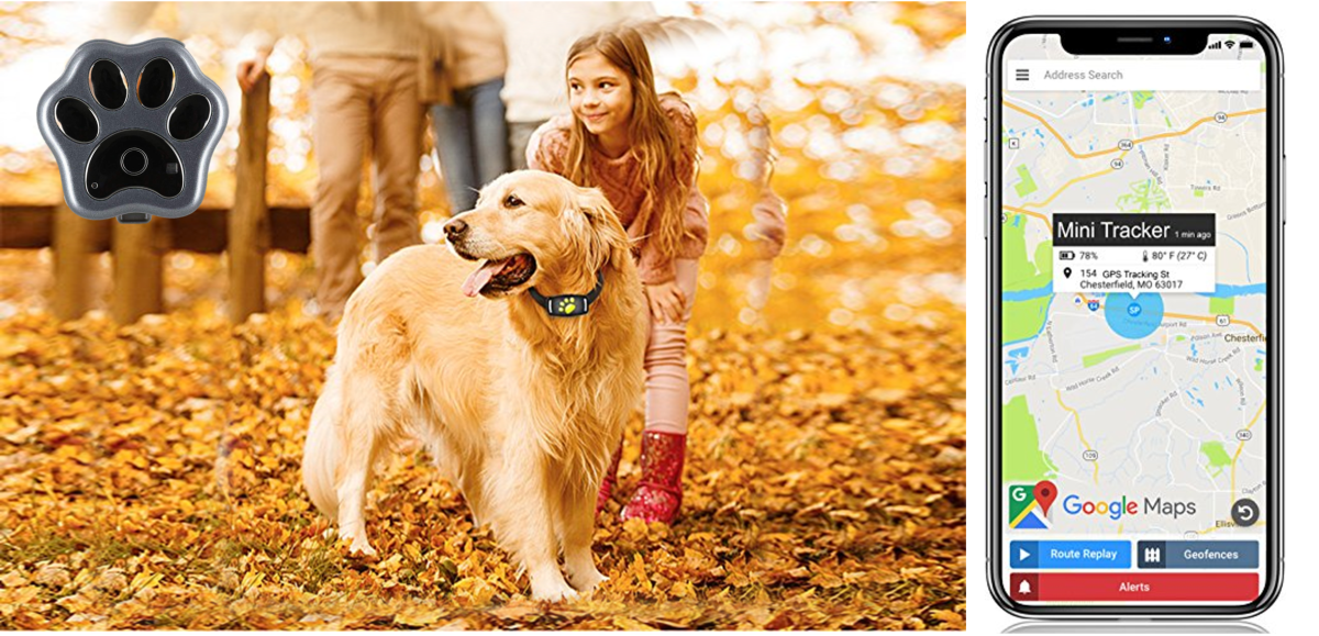 15 Cheap GPS Trackers For Pets - HubPages