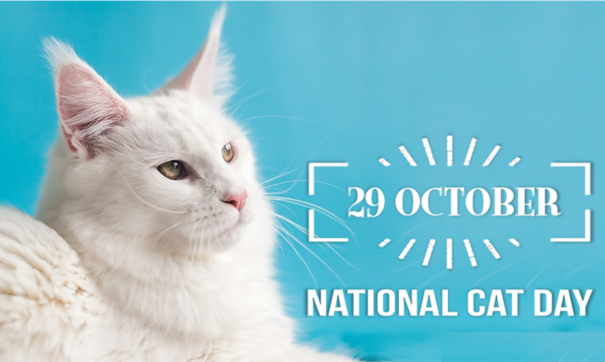 National Cat Day: Cat Day Quotes And Wishes - HubPages
