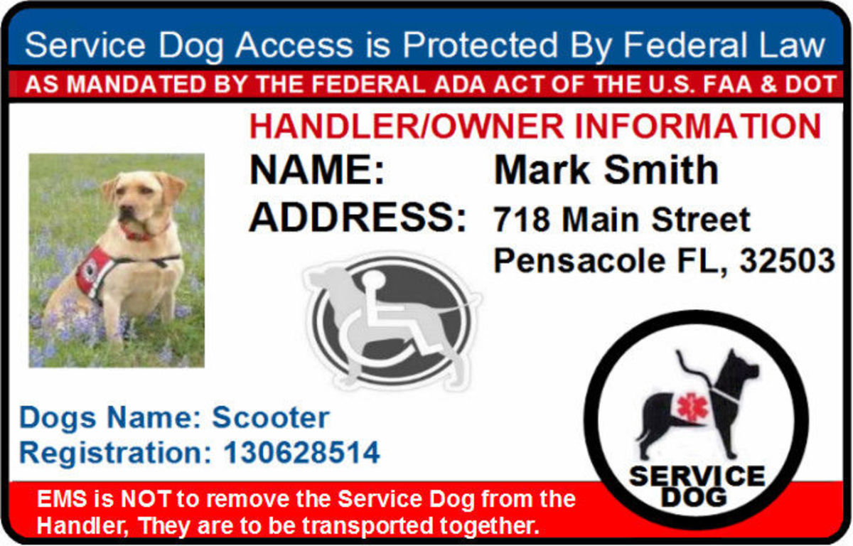 A Service Animal Explained - HubPages
