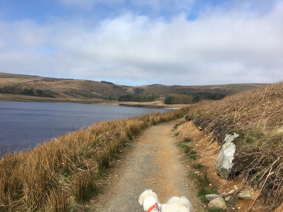 Walking Around Grimwith Reservoir a Hidden Gem in the Yorkshire Dales ...