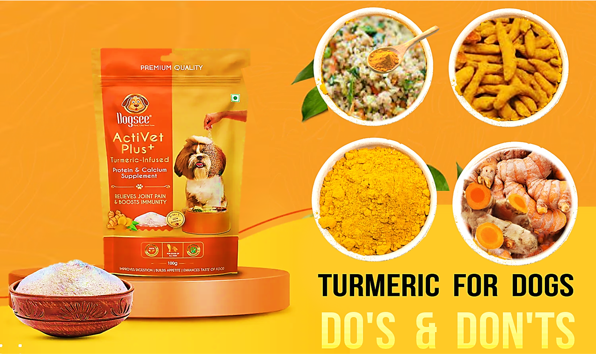 Surprising Health Benefits of Turmeric for Dogs - HubPages
