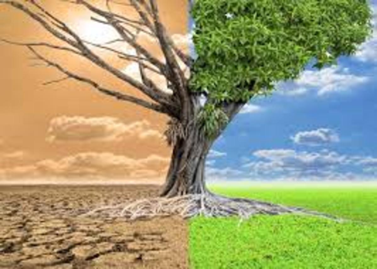 Ways to Save Mother Earth - HubPages
