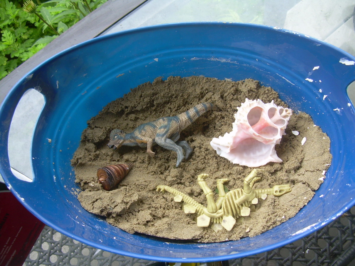 Backyard Archaeology: How to Make Your Own Fossil - HubPages