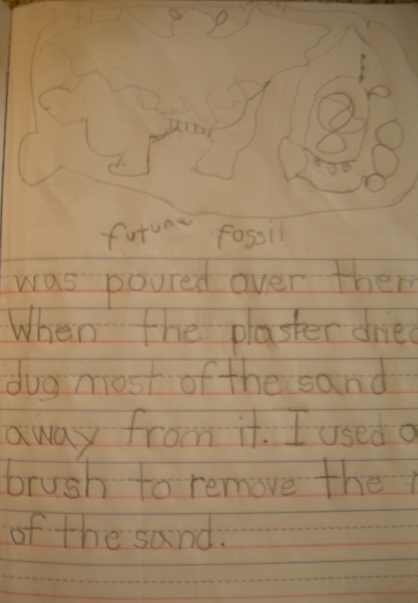 Backyard Archaeology: How to Make Your Own Fossil - HubPages