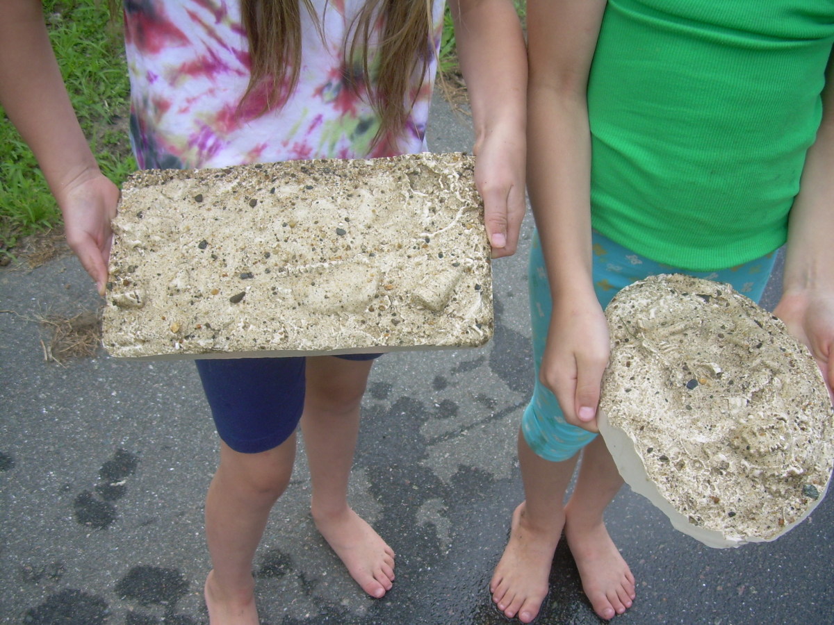 Backyard Archaeology: How to Make Your Own Fossil - HubPages