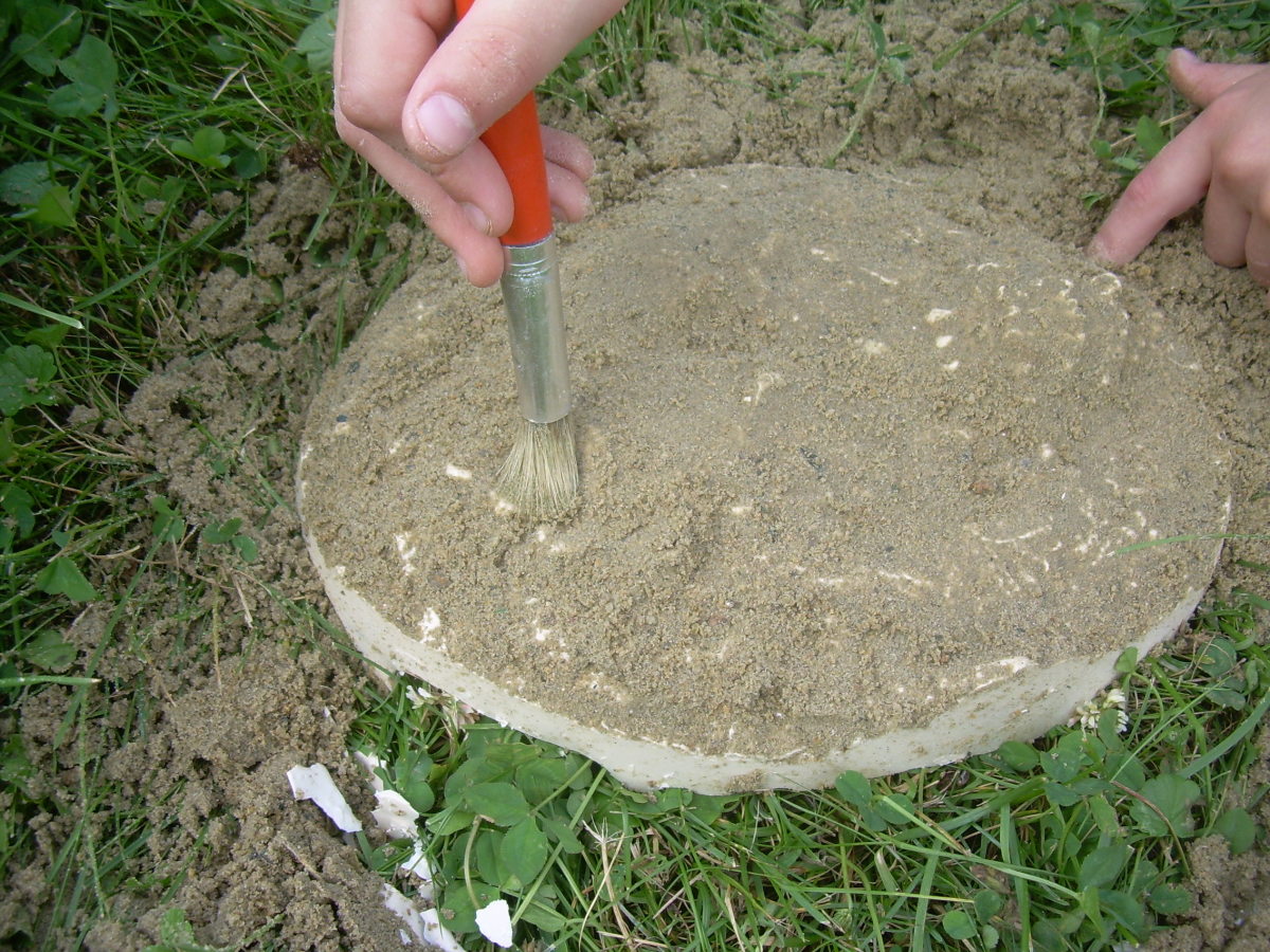 Backyard Archaeology: How to Make Your Own Fossil - HubPages