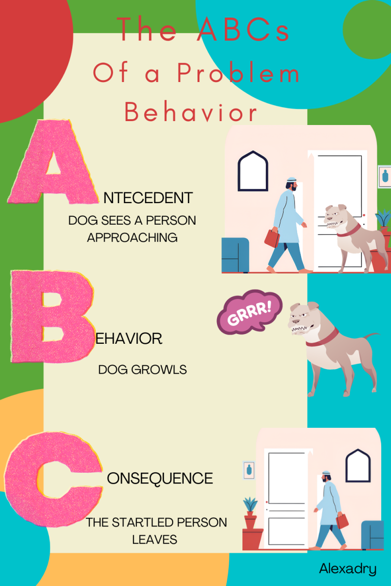 Top 5 Causes of Behavior Changes in Dogs - HubPages