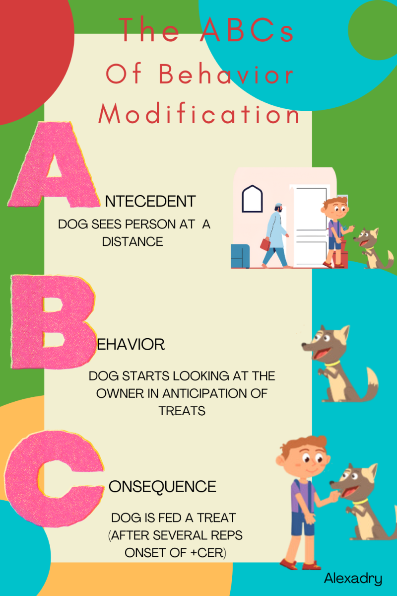 Top 5 Causes of Behavior Changes in Dogs - HubPages