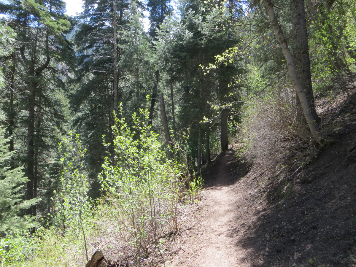Utah Hiking Trails For Families With Kids: Desolation Trail to the Salt ...