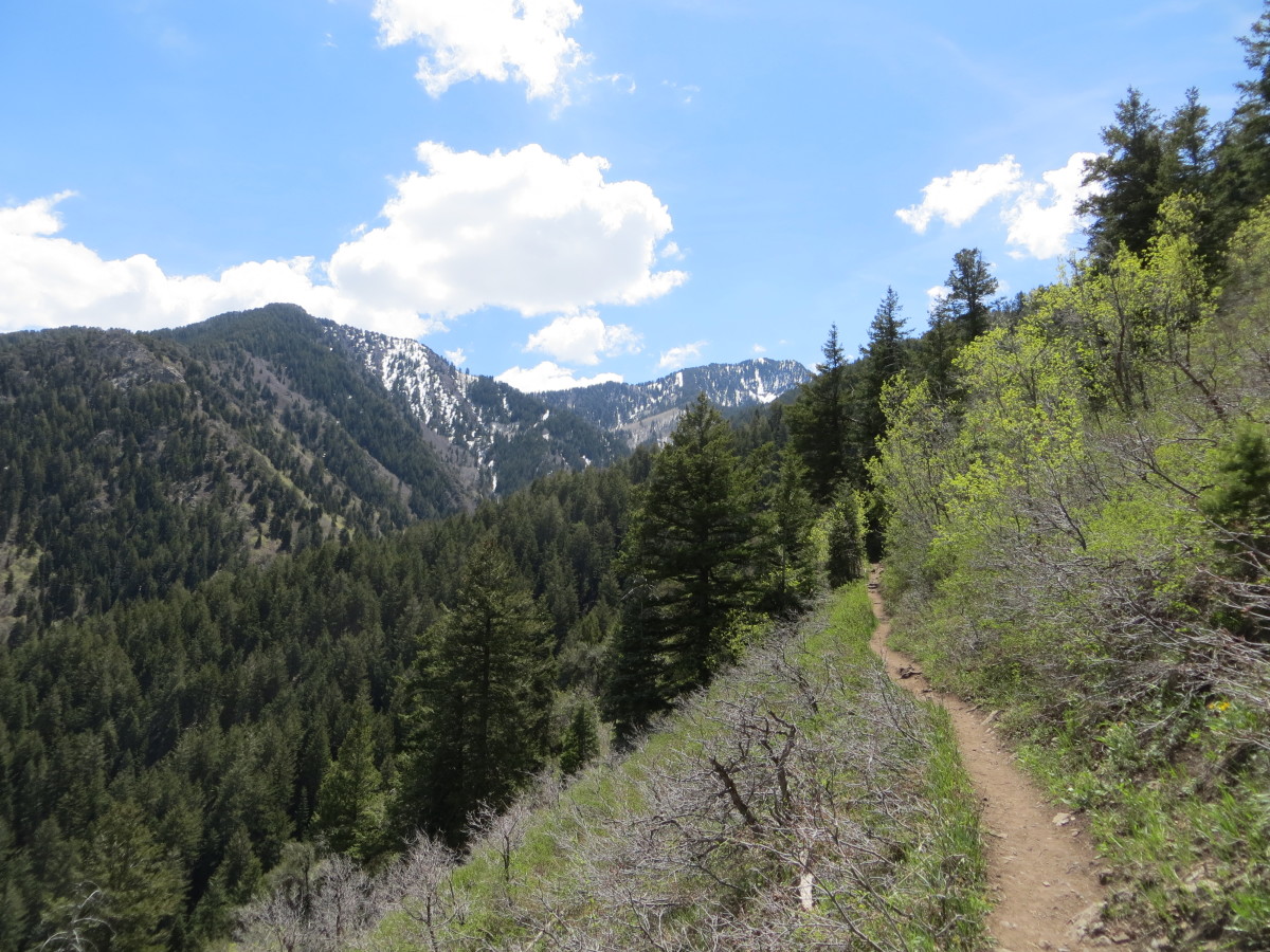 Utah Hiking Trails For Families With Kids: Desolation Trail to the Salt ...