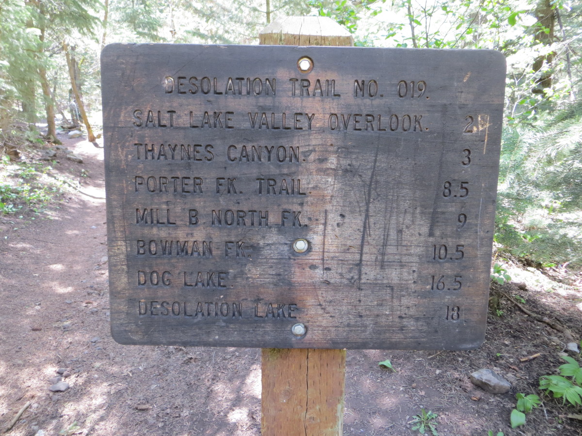 Utah Hiking Trails For Families With Kids: Desolation Trail to the Salt ...
