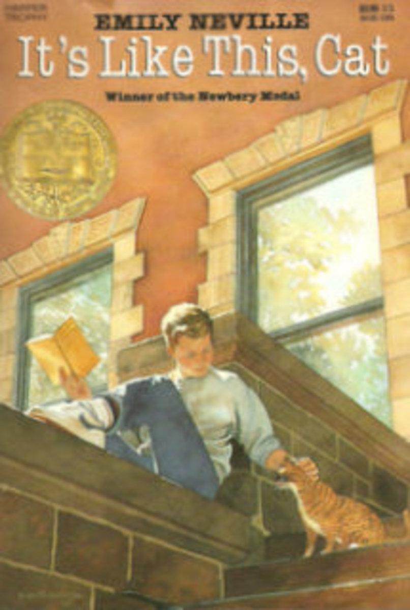 How to Write a Great Middle Grade Chapter Book - HubPages