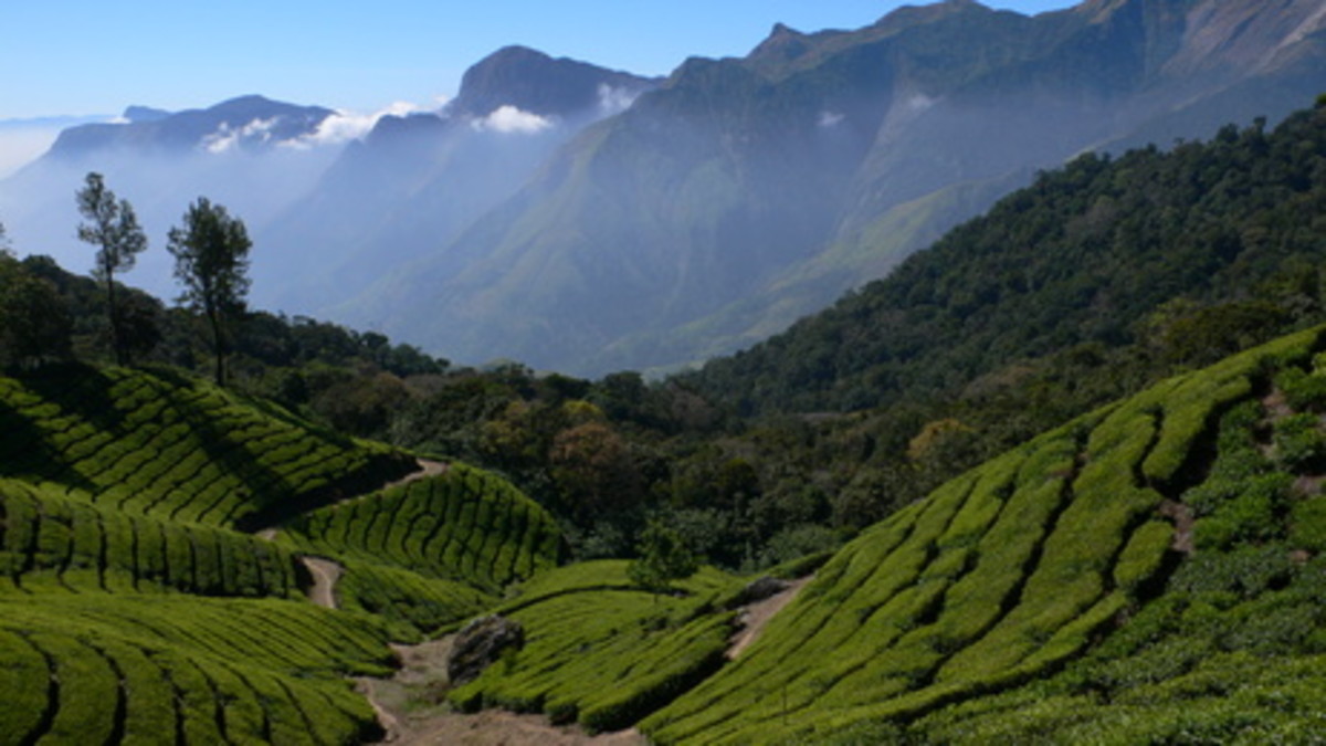 The Beauty of India in Nature, Landscapes, Architecture, Light and ...