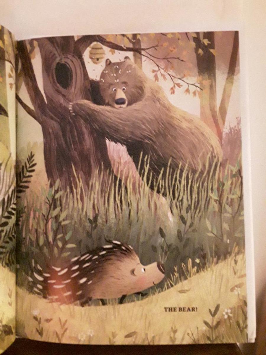 Confidence From a Little Porcupine to Use What One Has in Adorable ...