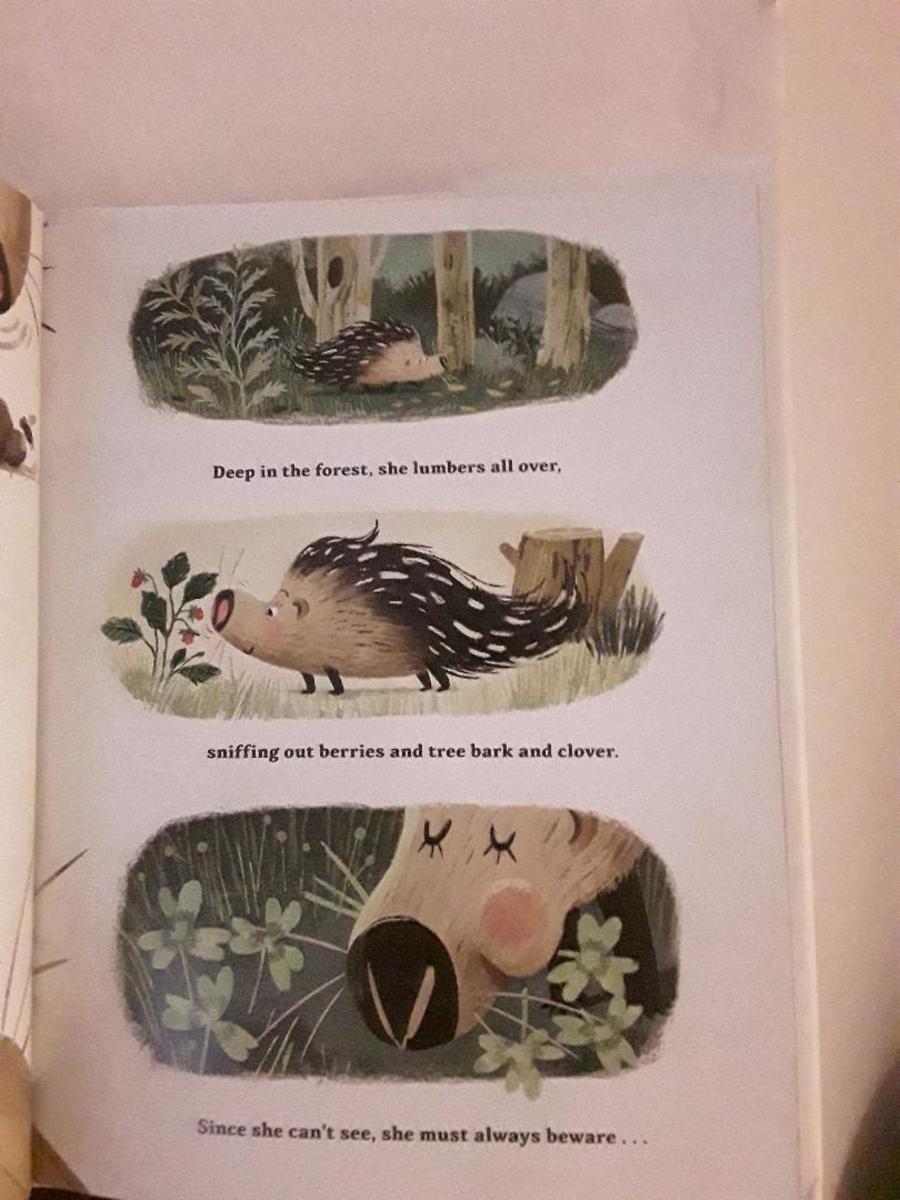 Confidence From a Little Porcupine to Use What One Has in Adorable ...