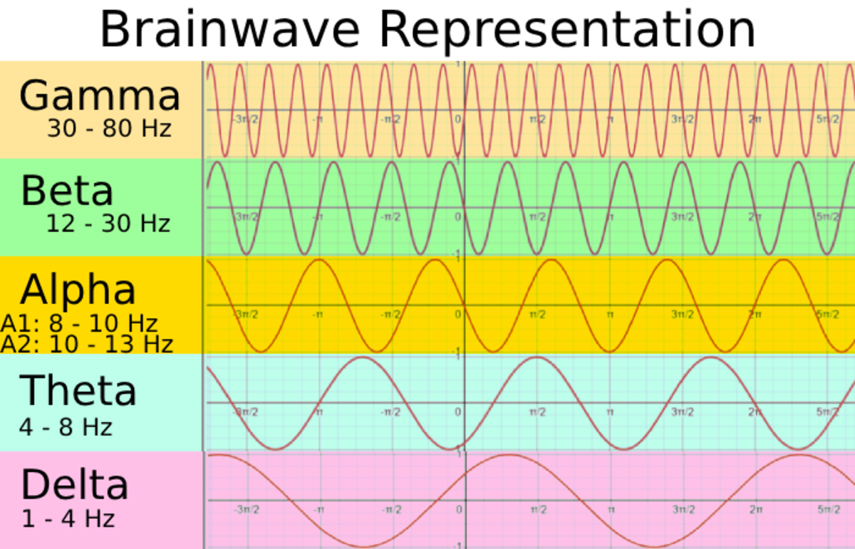What Are Beta Brain Waves? Improve Focus With Entrainment - Owlcation
