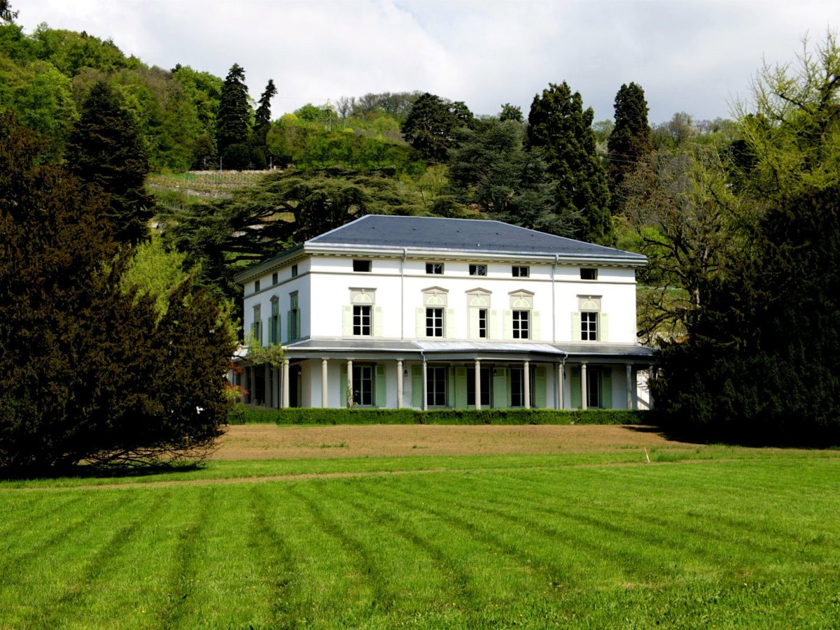 Rose Lovethorne on HubPages