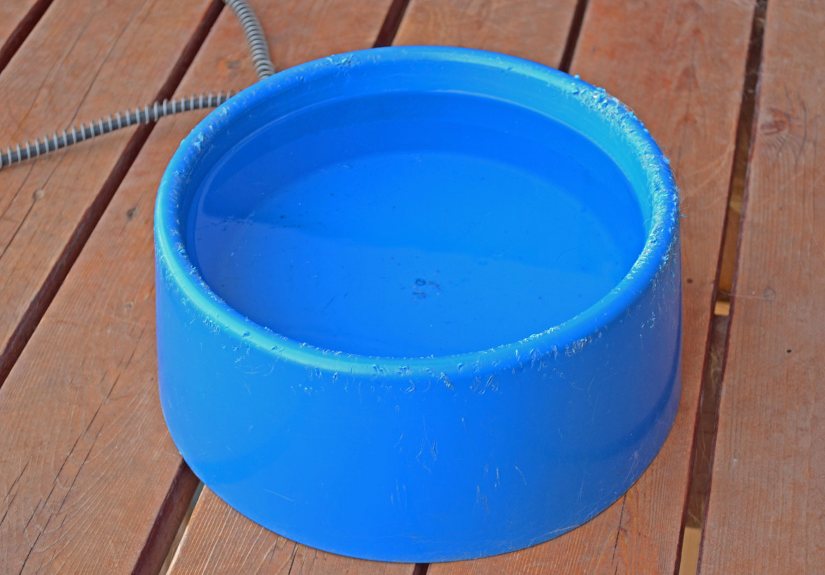 Dog Water Bowls and Dog Booties - HubPages