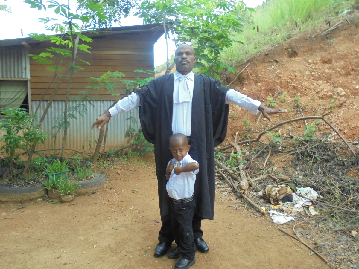 Commercial Law on the Sale and Purchase of Businesses in Papua New ...