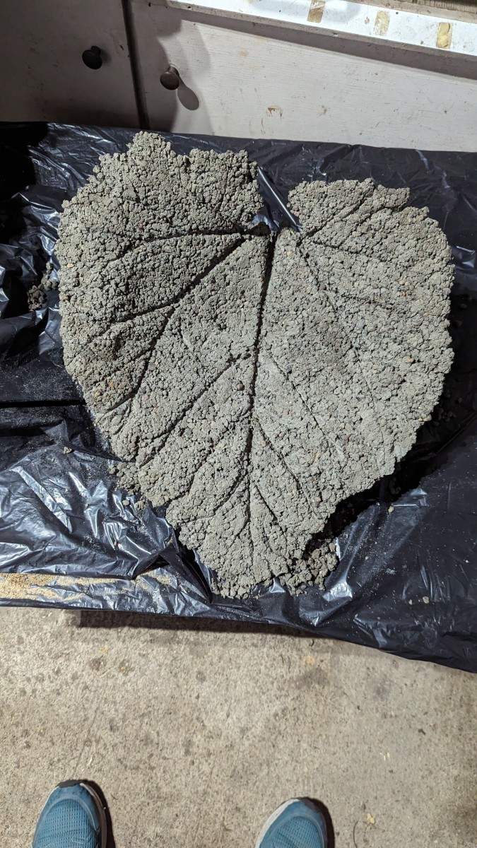 Rhubarb Leaf Cement Casting - HubPages