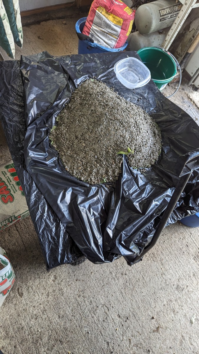 Rhubarb Leaf Cement Casting - HubPages