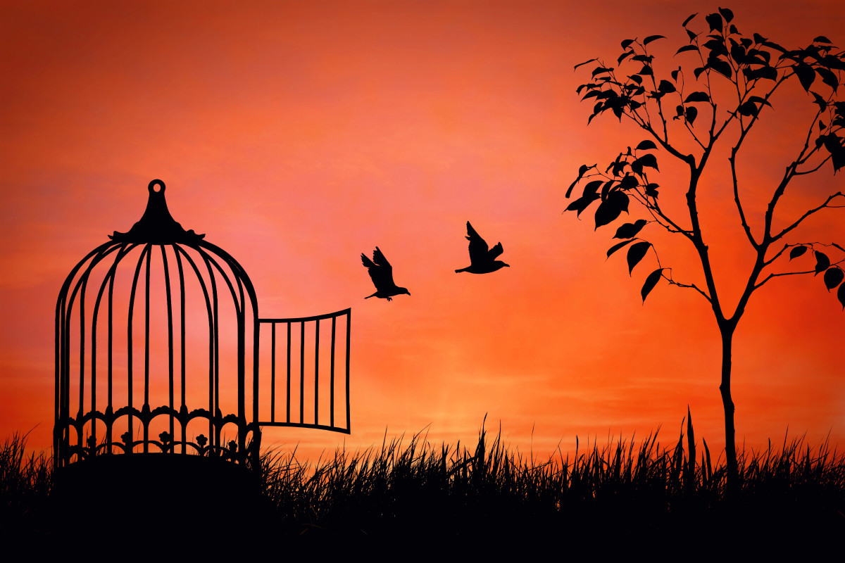 Grace and the Freedom Not to Sin: Romans 6 - HubPages