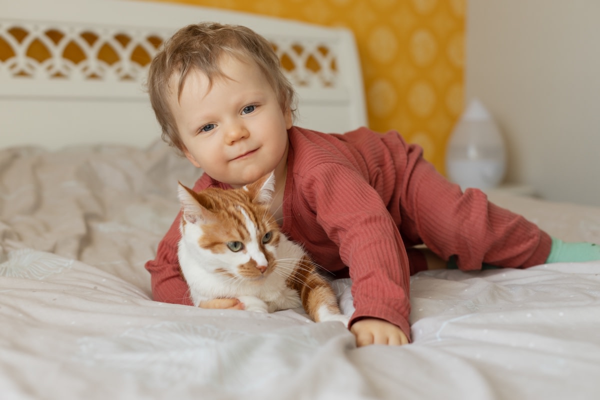 Little Boy Reads Very Unimpressed Cat a Bedtime Story and It's a Riot ...