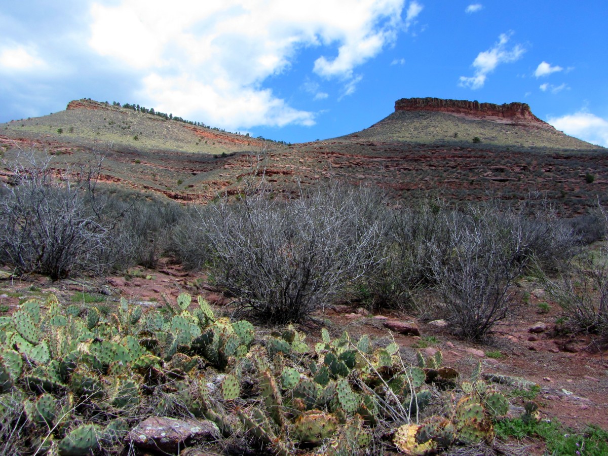 Hiking at the Hall Ranch - North Foothills Open Space Near Lyons ...