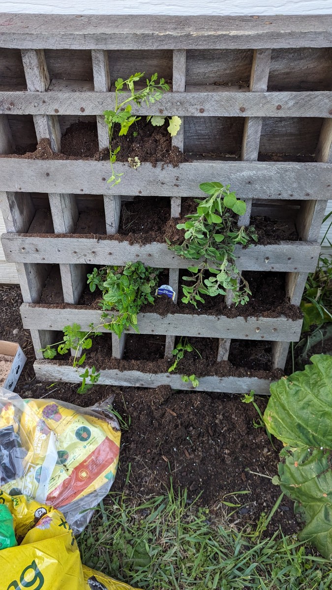 Herb Box - Squares for Each Herb - HubPages