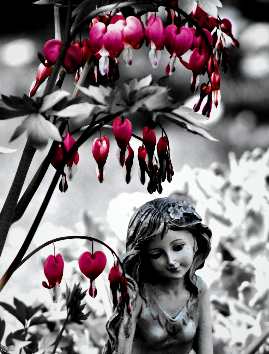 Five Creepy Plants That Are Easy To Grow - HubPages