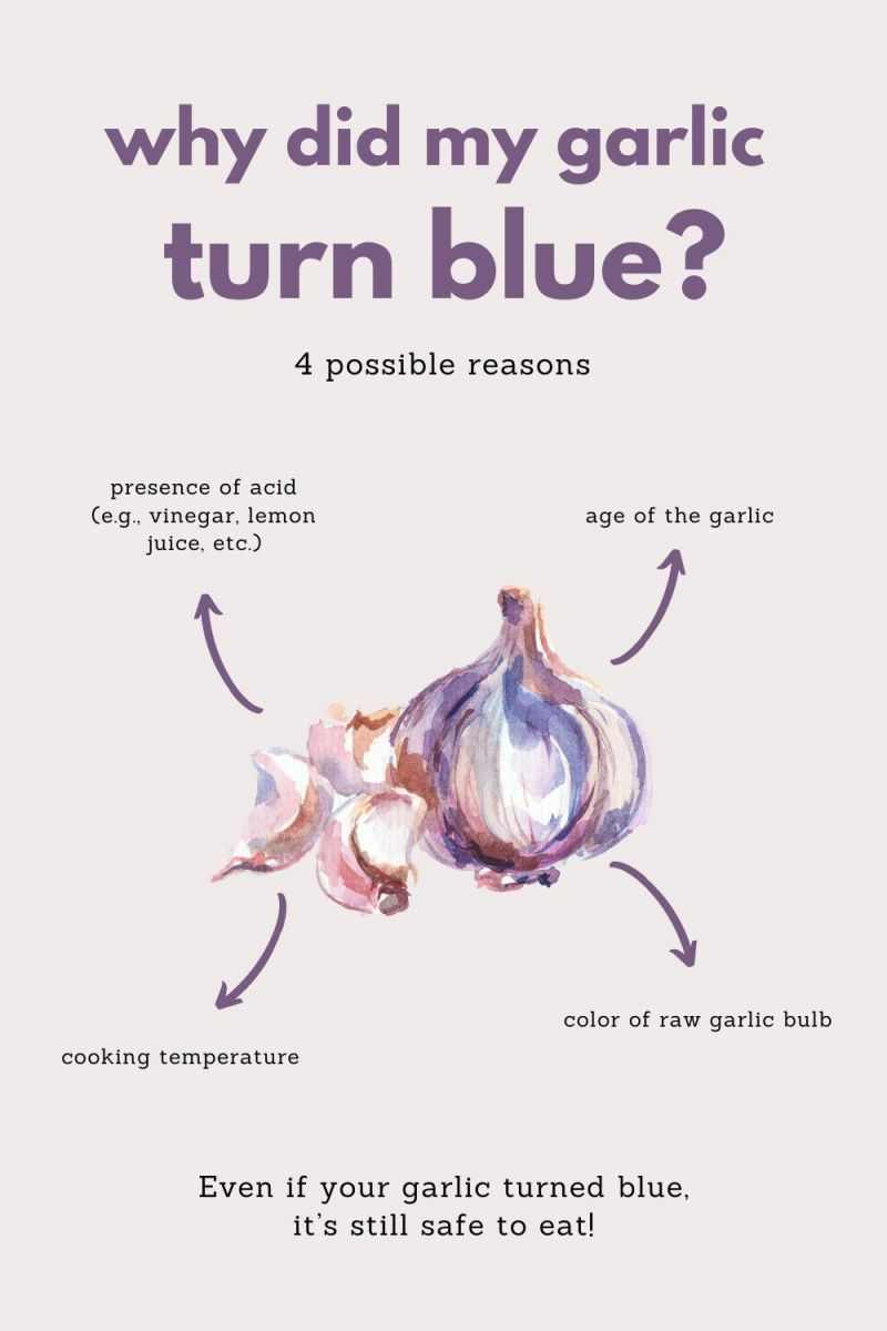 Why Does Garlic Turn Blue and Is It Safe to Eat? - Delishably