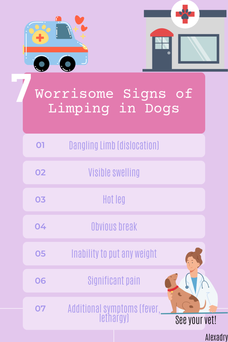 14 Causes of Limping in Dogs - HubPages