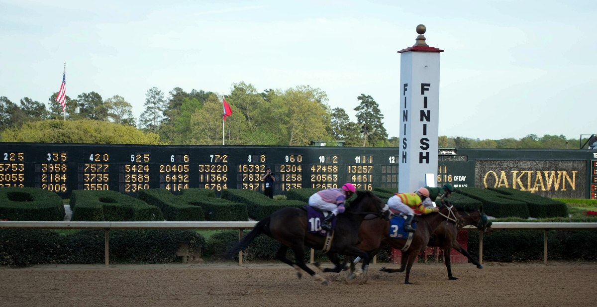 9 Race Tracks Every Horse Racing Fan Should Visit - HubPages