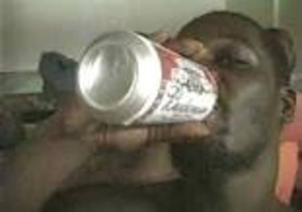 Life While in Federal Prison/Atlanta Camp: The Wild, Wild West of the ...