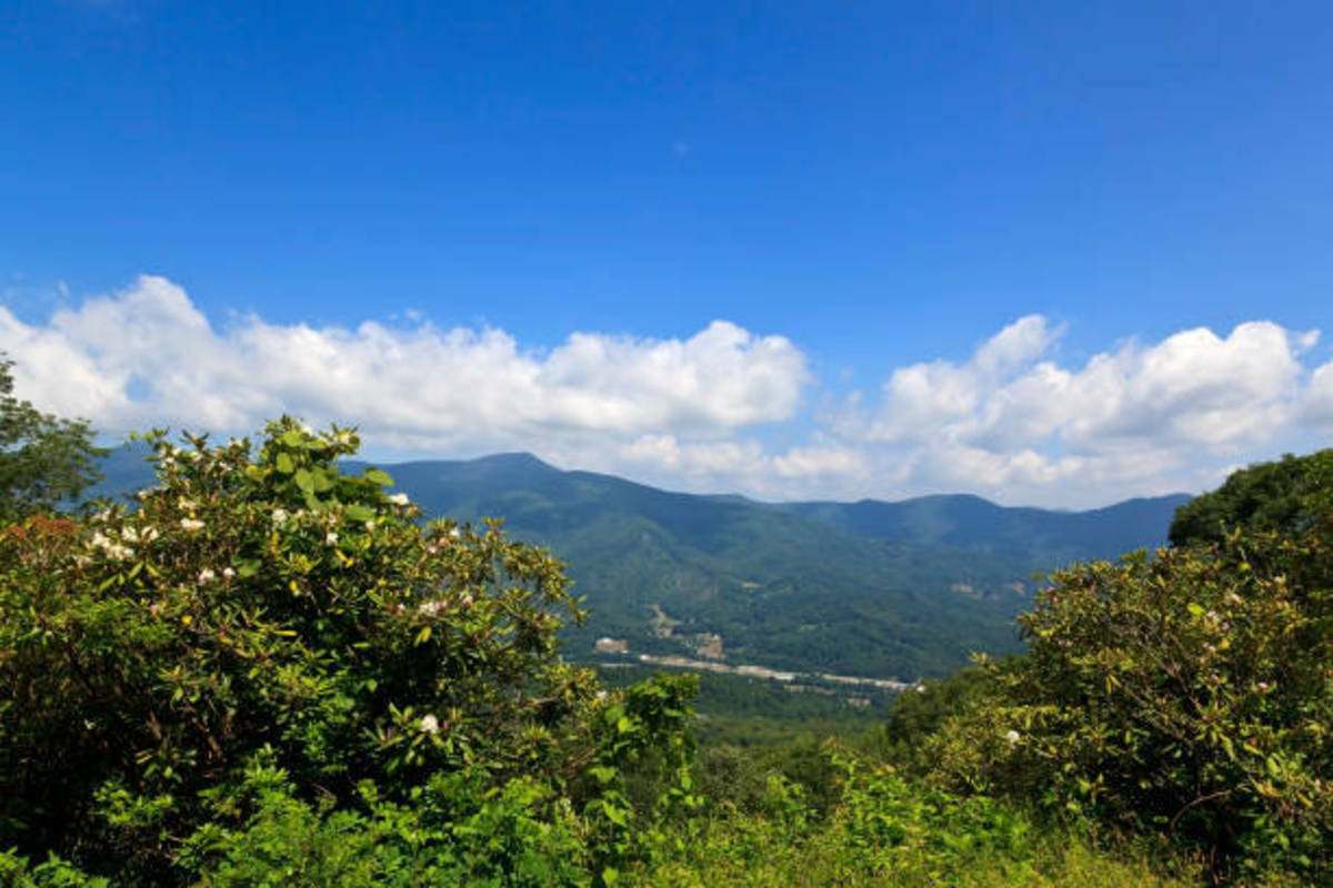 Waynesville, a Quaint Place to Visit - HubPages