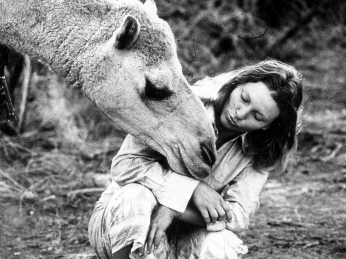 Robyn Davidson Crossed 1,700 Miles of the Australian Desert Alone With ...